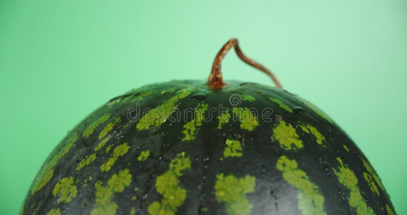 The Watermelon Falling Drops of Water and Drain it. Stock Footage ...