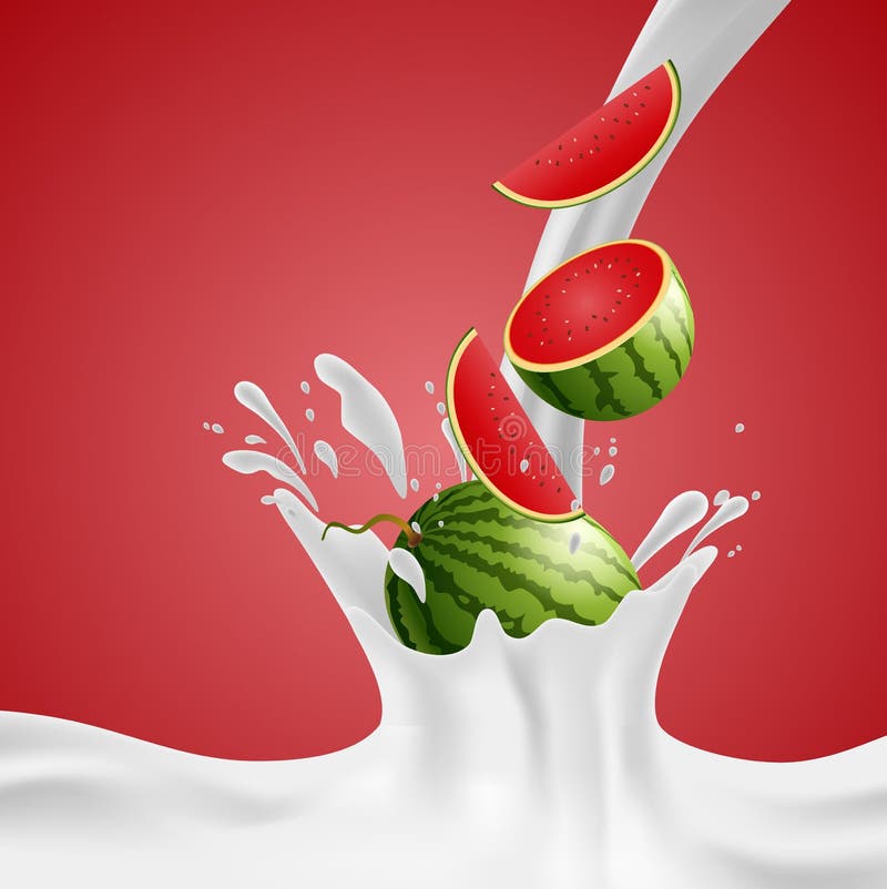 Watermelon Falling into the Milky Splash Stock Vector - Illustration of ...
