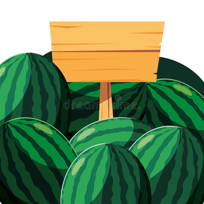 Watermelon Fresh Vegetable Farm Wooden Placard Stock Illustration ...