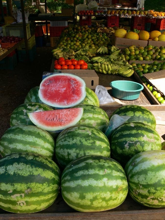 Watermelons stock image. Image of farm, horticulture, farming - 235435
