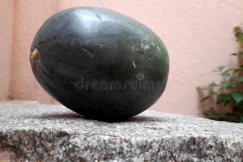 WaterMelon Fruit on Slab stock image. Image of closeup - 280465643