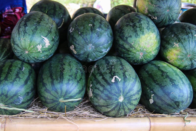Watermelon stock photo. Image of fresh, health, green - 39637824