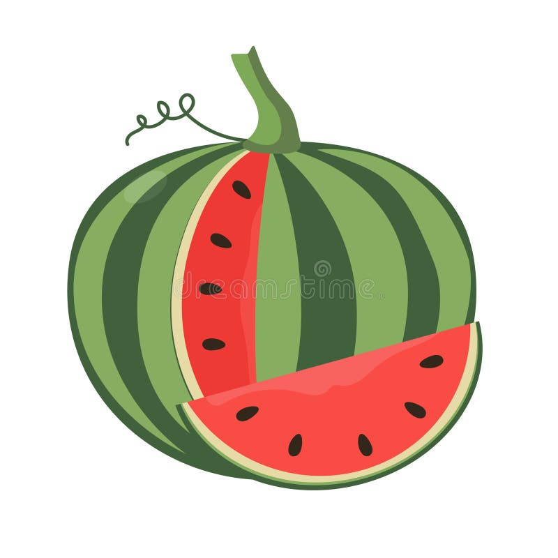 Red Watermelon Fruit Slice Clip Art Image, Water Melon Vector ...