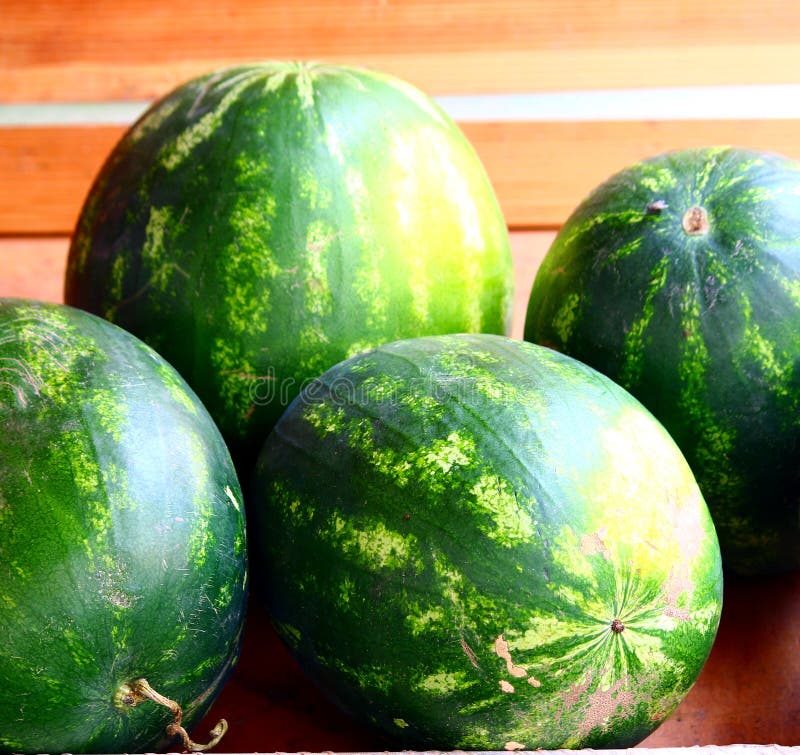 Watermelon stock photo. Image of outdoor, vegetable, horizontal - 41131148