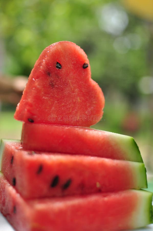 Watermelon stock photo. Image of freshness, snack, dessert - 42666386