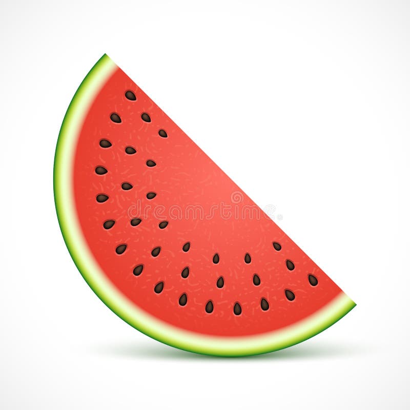 Watermelon Half Slice - Vector Illustration Isolated on White ...