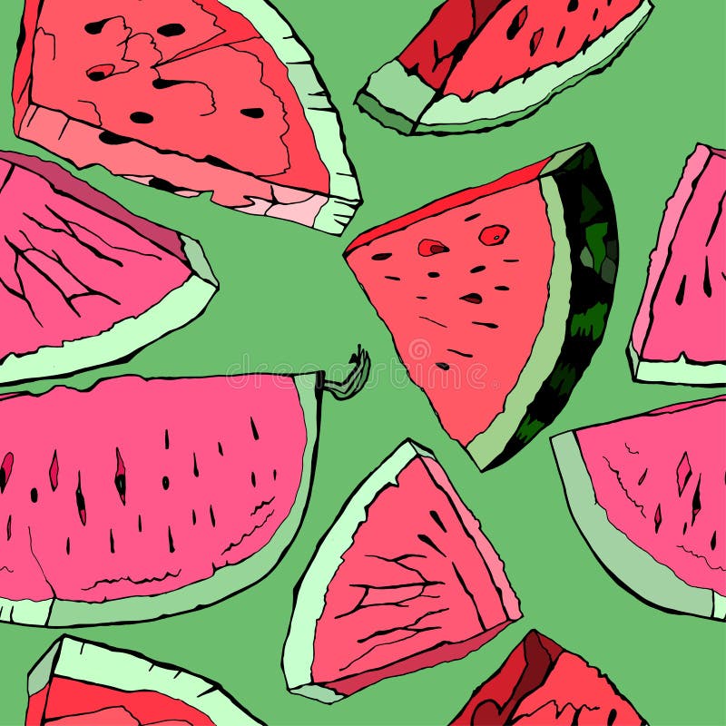 Watermelon hand drawn stock vector. Illustration of fruit - 77081368