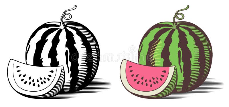 Watermelon Illustration Stock Illustrations – 109,271 Watermelon ...