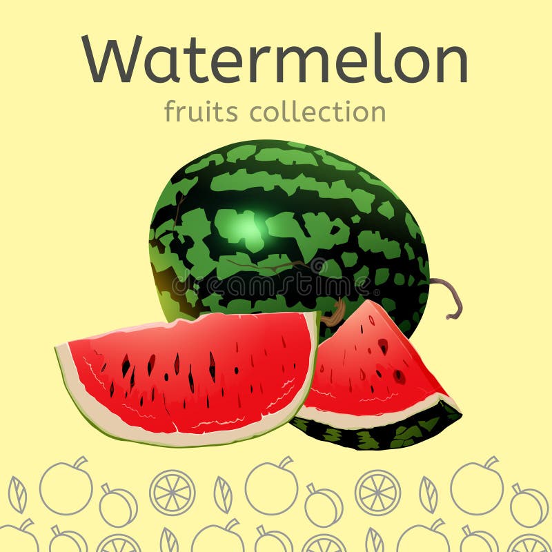 Watermelon Vitamin Infographic Stock Vector - Illustration of detox ...