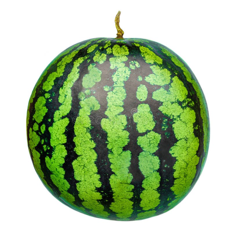 Watermelon Isolated on White Background. Whole Watermelon with a Shade ...