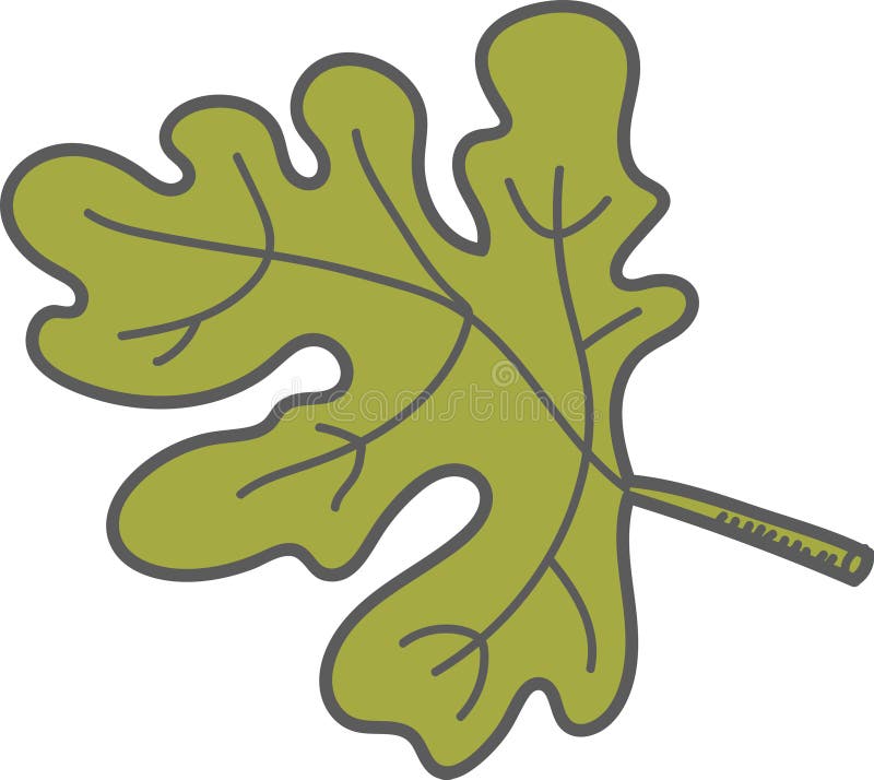 Watermelon Leaf Sketch stock vector. Illustration of vector - 381119650