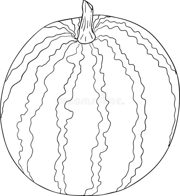 Watermelon Line Illustration Set. Watermelon for Coloring Pages Stock ...