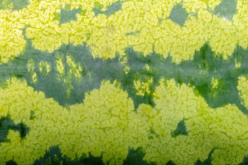 Watermelon Lines stock image. Image of ingredient, line - 85080193