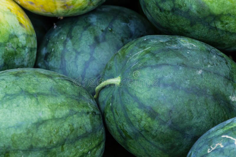 Watermelon stock photo. Image of open, order, dessert - 44300824