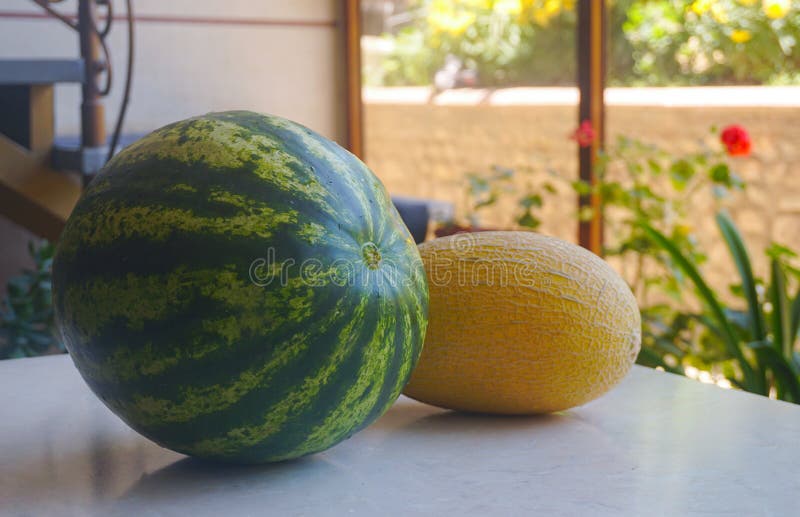 Watermelon with melon stock image. Image of background - 259805693