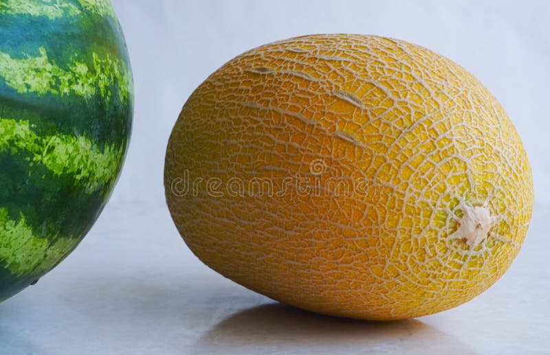 Watermelon with melon stock photo. Image of nature, melon - 259805938