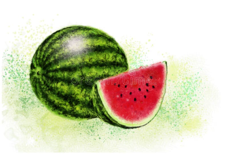 Watermelon painted colors stock vector. Illustration of watermelon ...