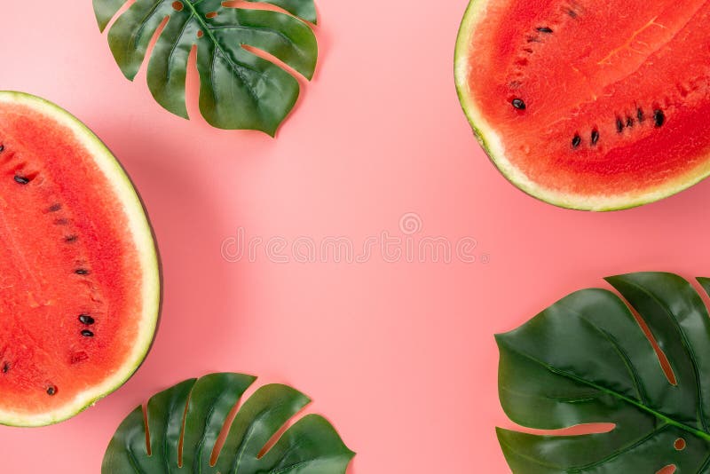 Watermelon with Palm Tree Leaf on Pink Background. Creative Minimal ...