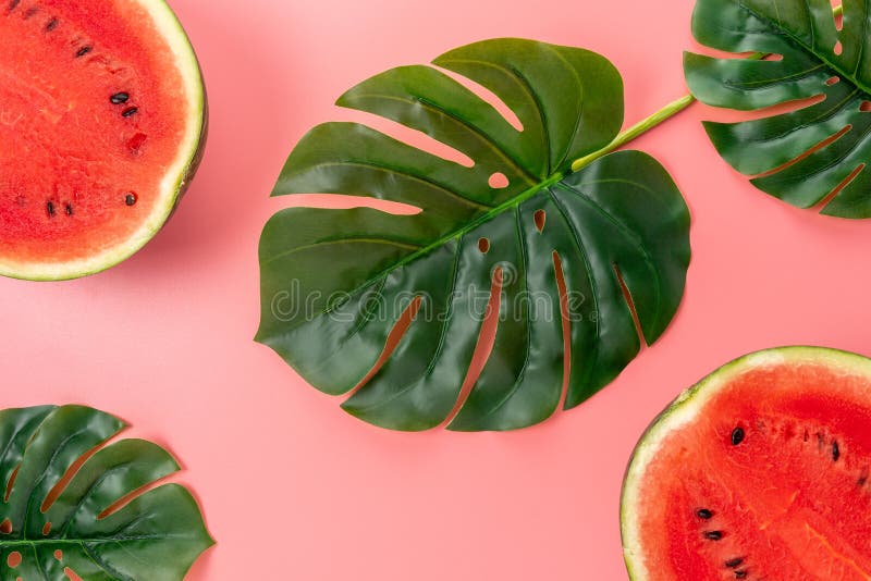 Watermelon with Palm Tree Leaf on Pink Background. Creative Minimal ...
