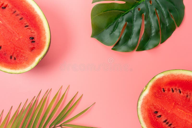 Watermelon with Palm Tree Leaf on Pink Background. Creative Minimal ...