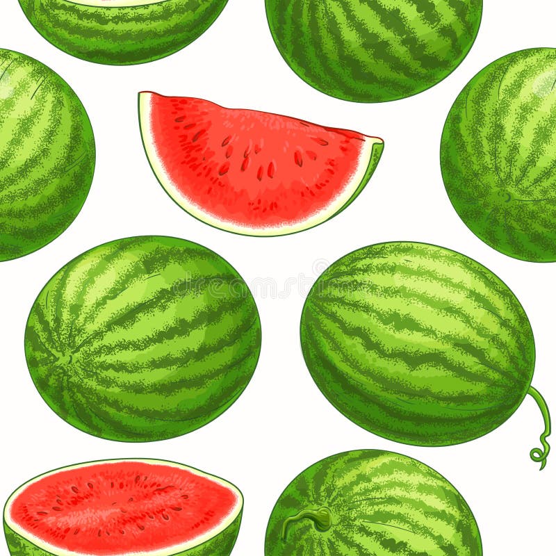 Watermelon Plant Stock Illustrations – 14,274 Watermelon Plant Stock ...