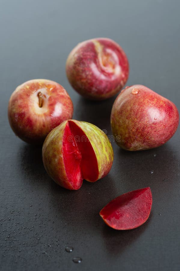 Barbro Bergfeldt (Ockra) - Photos