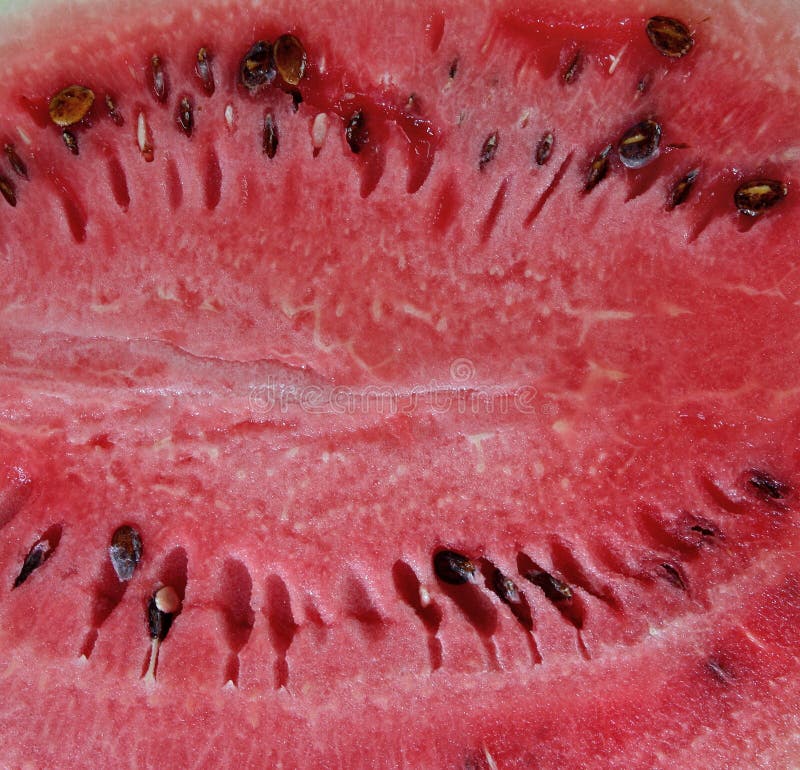 Watermelon pulp surface. stock image. Image of refreshment - 37849999