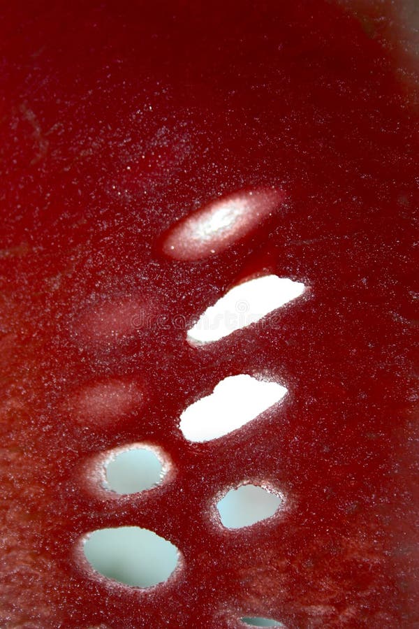 Watermelon. the Red Slice. Pitted Stock Photo - Image of sweet ...