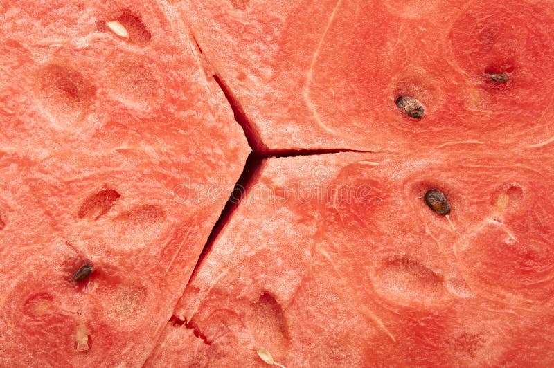 Watermelon stock image. Image of melon, nature, grainy - 34475465