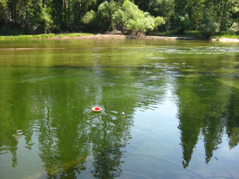 Watermelon Rind Half Floating in a Lake with Reflections Stock Image ...