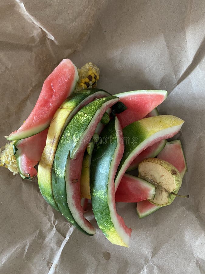 Watermelon Rinds: Organic Waste for Compost Stock Image - Image of dish ...