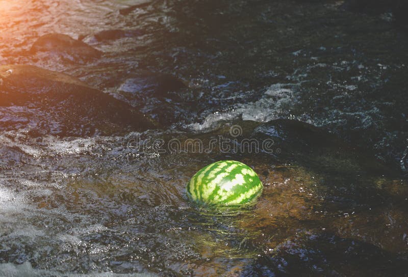 Cooling The Watermelon In The River Stock Image - Image of nobody ...