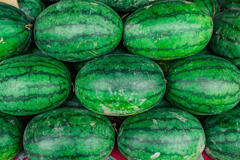 Watermelon for Sale at Fruit Market Stock Photo - Image of nutritious ...