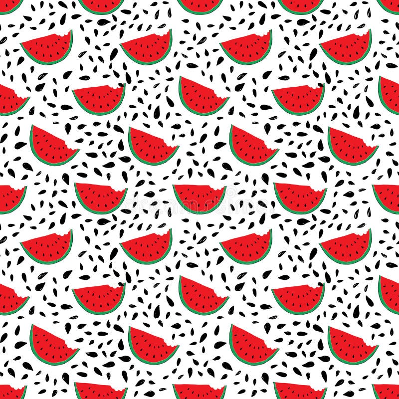 Watermelon Seamless Pattern Hand Drawn. Vector Illustration Stock ...