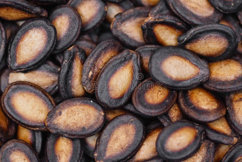 Watermelon Seeds Background Stock Images - Download 7,191 Royalty Free ...