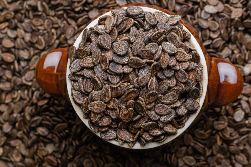 Watermelon Seeds.Various Varieties of Watermelon Seeds on a Blue ...