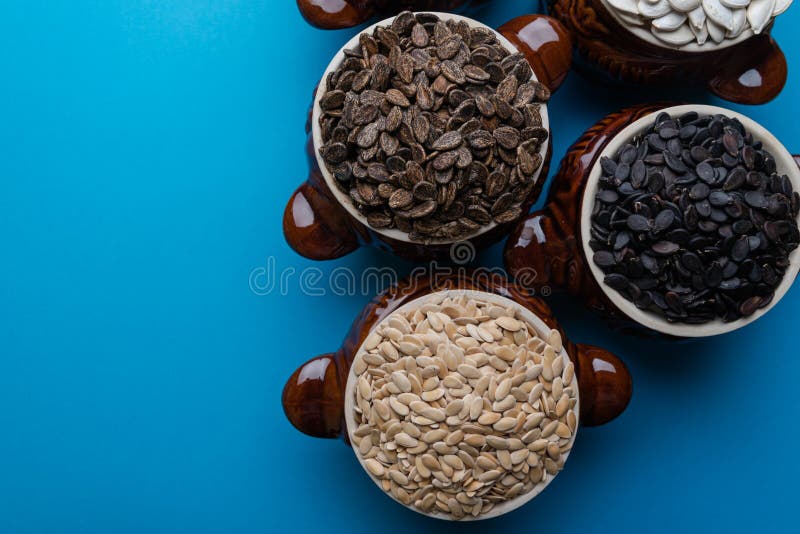 Watermelon Seeds.Various Varieties of Watermelon Seeds on a Blue ...