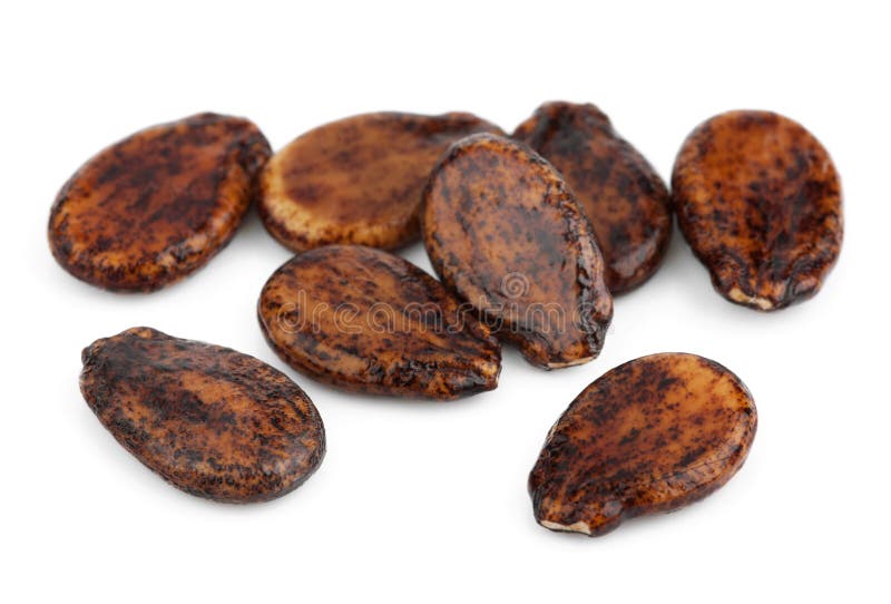 One Roasted Partly Peeled and One Unpeeled Cocoa Bean Isolated on White ...