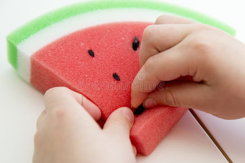 Watermelon Shape Sponge Stuffed with Plastic Button. Stock Photo ...