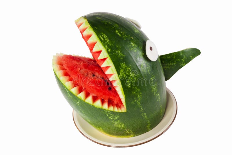 Watermelon shark stock image. Image of cutout, healthy - 66416581