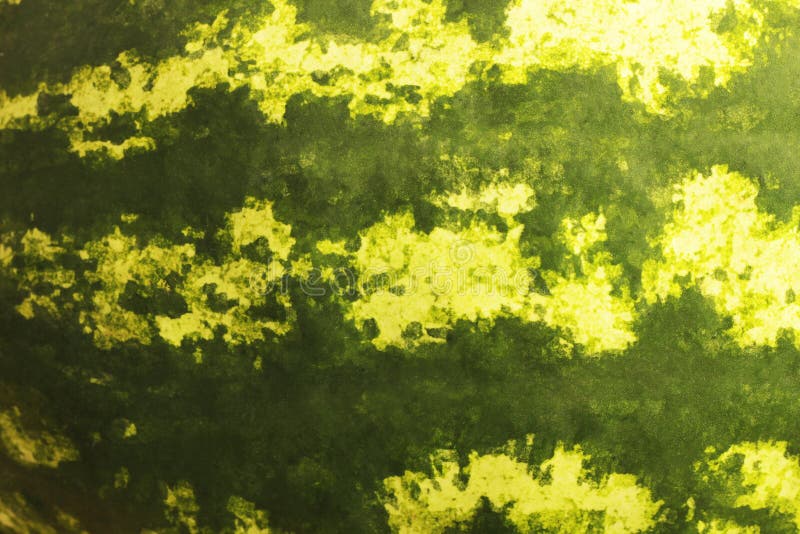 Watermelon Skin Texture Close Up Stock Photo - Image of eating, melon ...