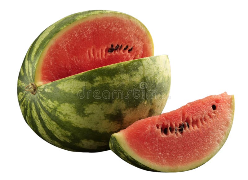 A Path through a Watermelon S Field Stock Image - Image of path, soil ...