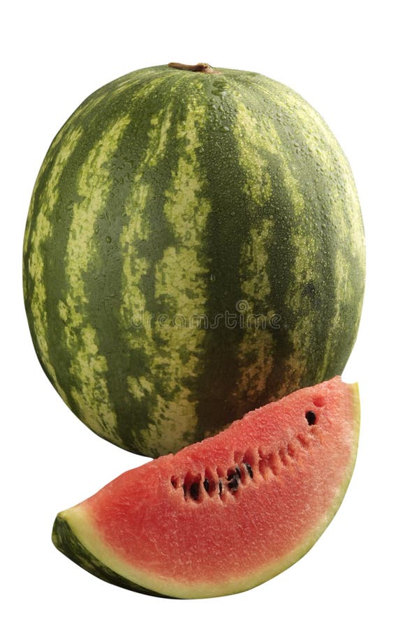 A Path through a Watermelon S Field Stock Image - Image of path, soil ...