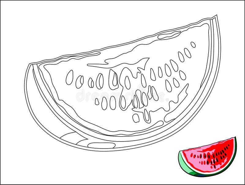Watermelon Slice Coloring Picture Stock Vector - Illustration of nature ...