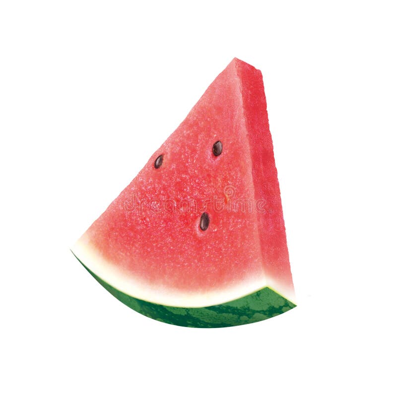 Watermelon Slice stock illustration. Illustration of isolated - 271682159