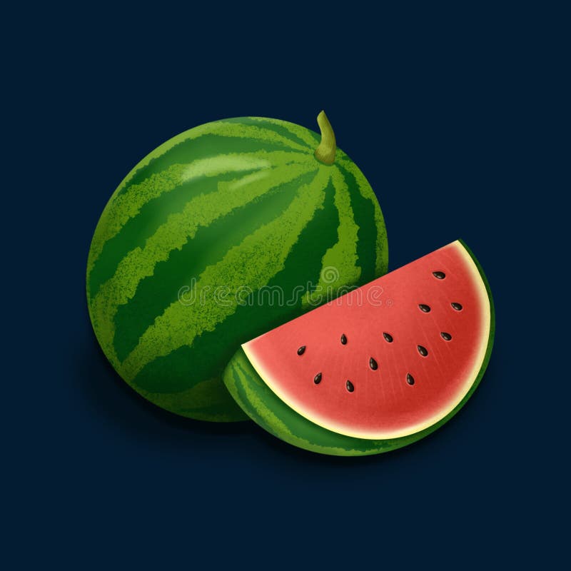 Watermelon and Slice Illustration. Juicy Fruits. Stock Illustration ...
