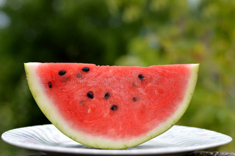 Watermelon Slice on the Plate in Summer Stock Image - Image of ...
