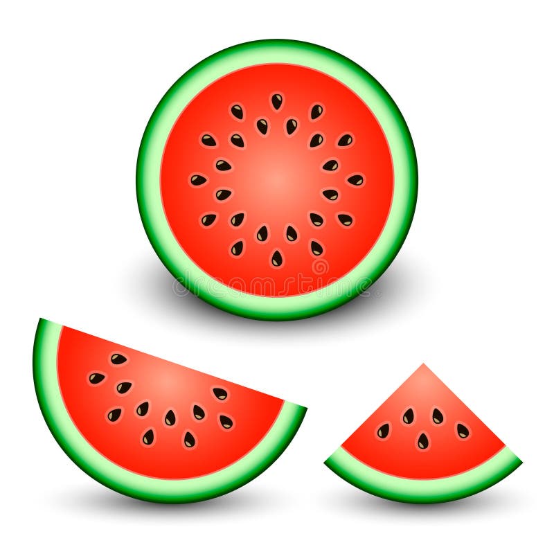 Watermelon Slice Sticker. Watermelon Vector Isolated Illustration Stock ...