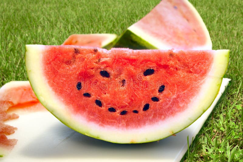 Watermelon smile stock photo. Image of rind, delicious - 2714940