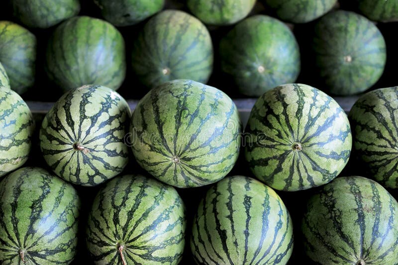 Watermelon stand stock photo. Image of stall, stand, health - 15560632